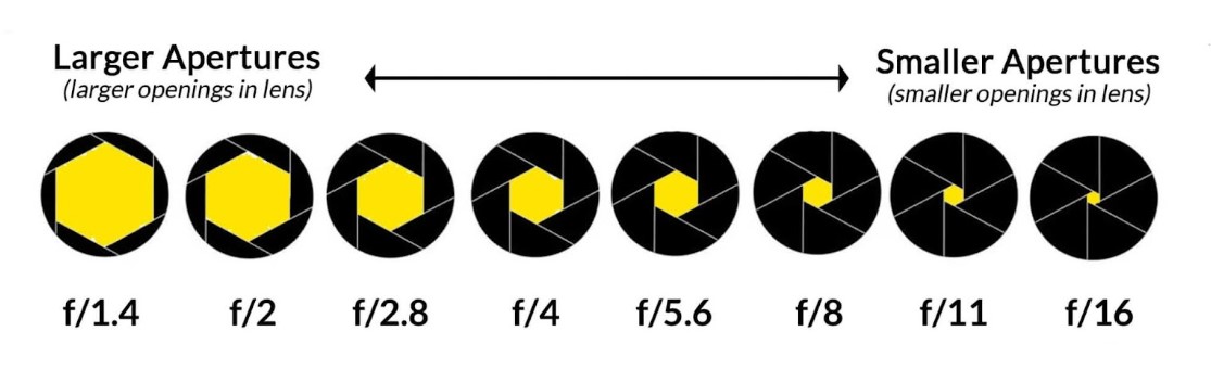 Camera lens terms and what they mean - Grow your business exposure